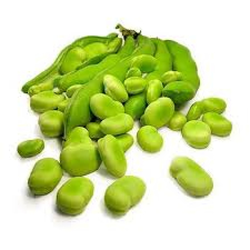 Taller plantamos semillas de haba - Pictoeduca